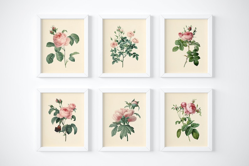 Vintage Pink Roses Wall Art Prints Set of 6 Botanical - Etsy