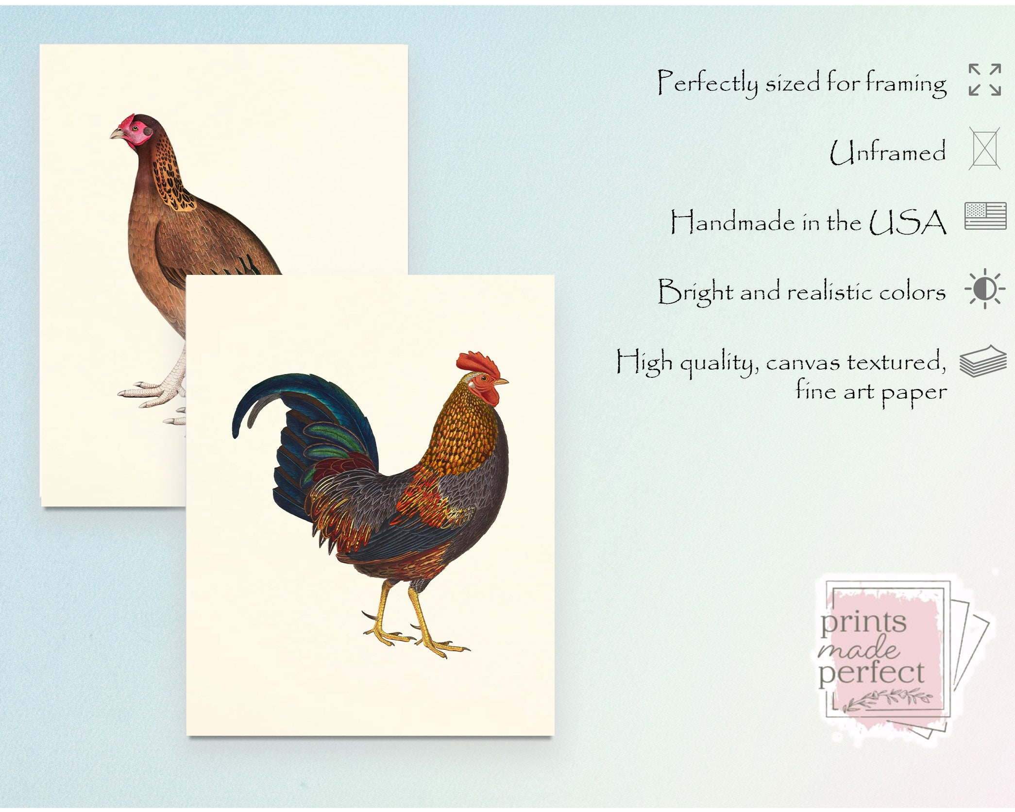 Vintage Rooster & Chicken Art Prints Farm Animal Wall Decor - Etsy