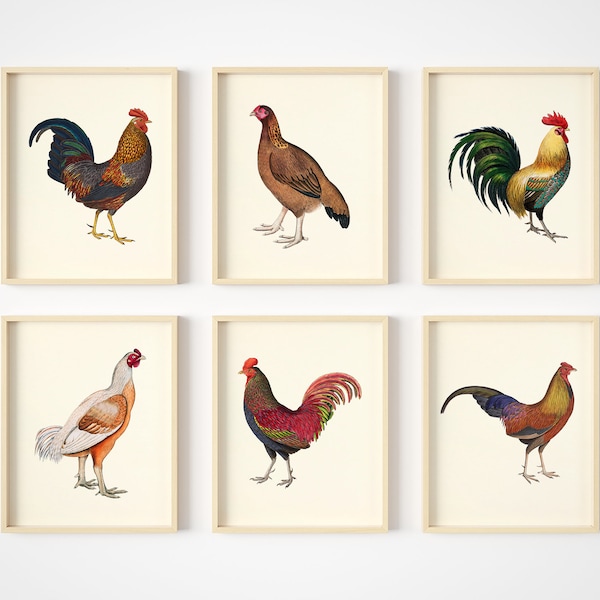 Rooster Prints - Etsy