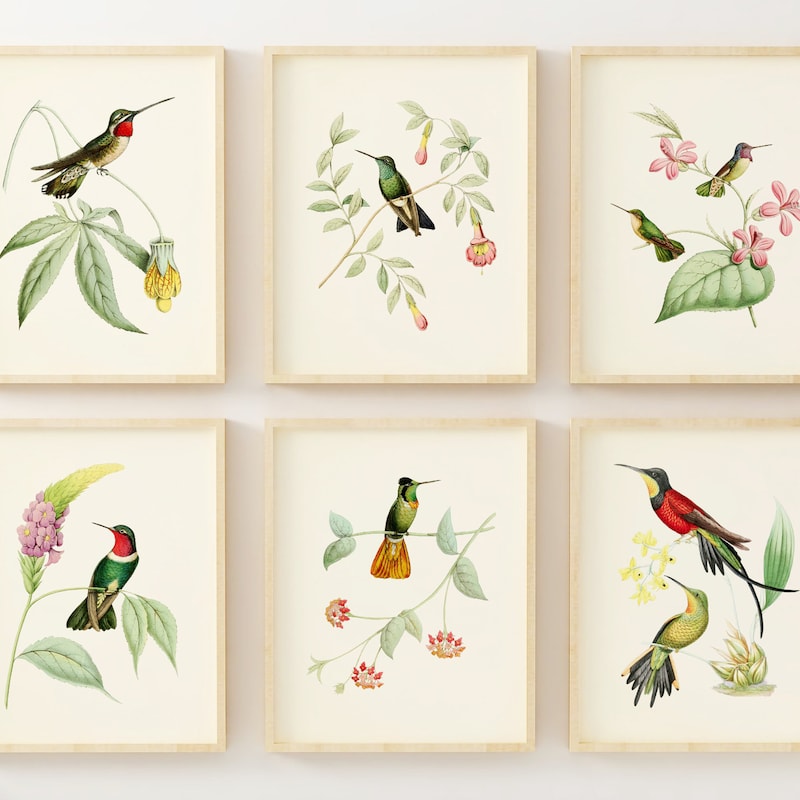 Hummingbird Decor - Etsy