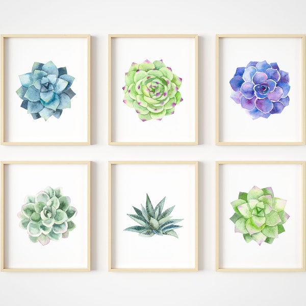 Succulent Wall Art - Etsy
