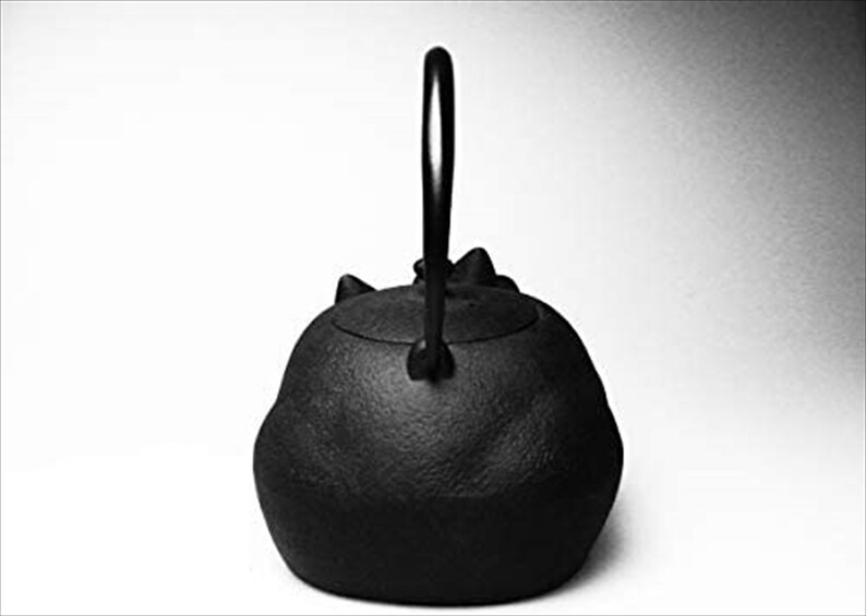Japanese Cast Iron Teapot Kettle Nambu Nanbu Tekki Tetsubin - Etsy