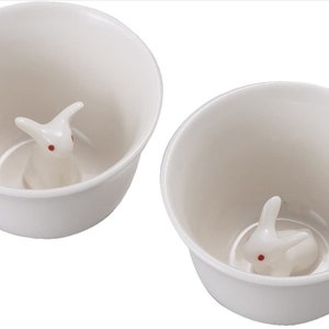 Lucky Rabbit Sakazuki,japanese Sake Cup,made in Japan,set of 2,sake ...