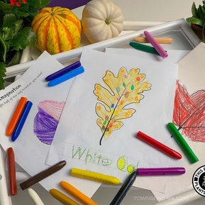 Fall Leaves Printable Art Activities - Etsy