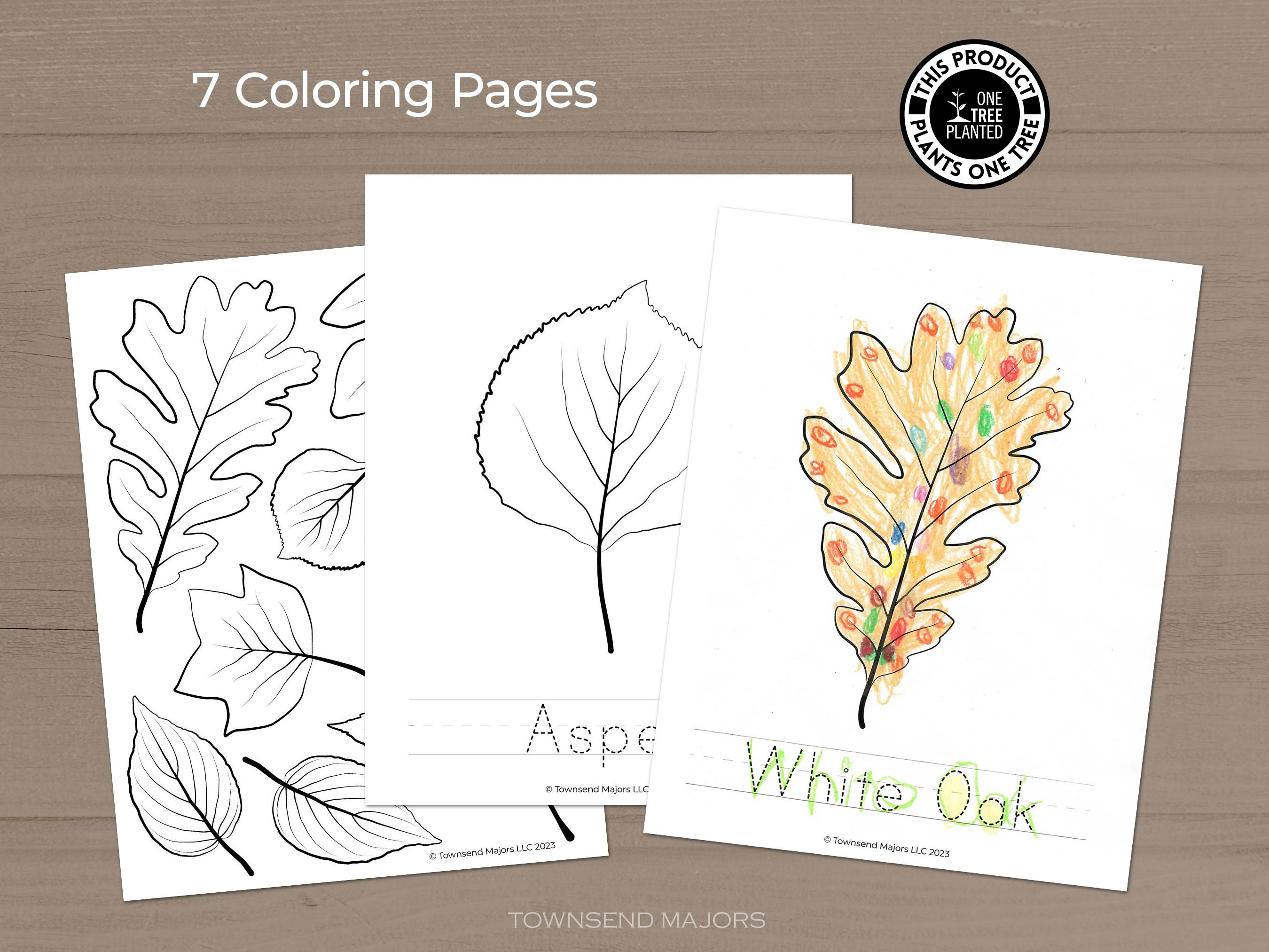 Fall Leaves Printable Art Activities - Etsy