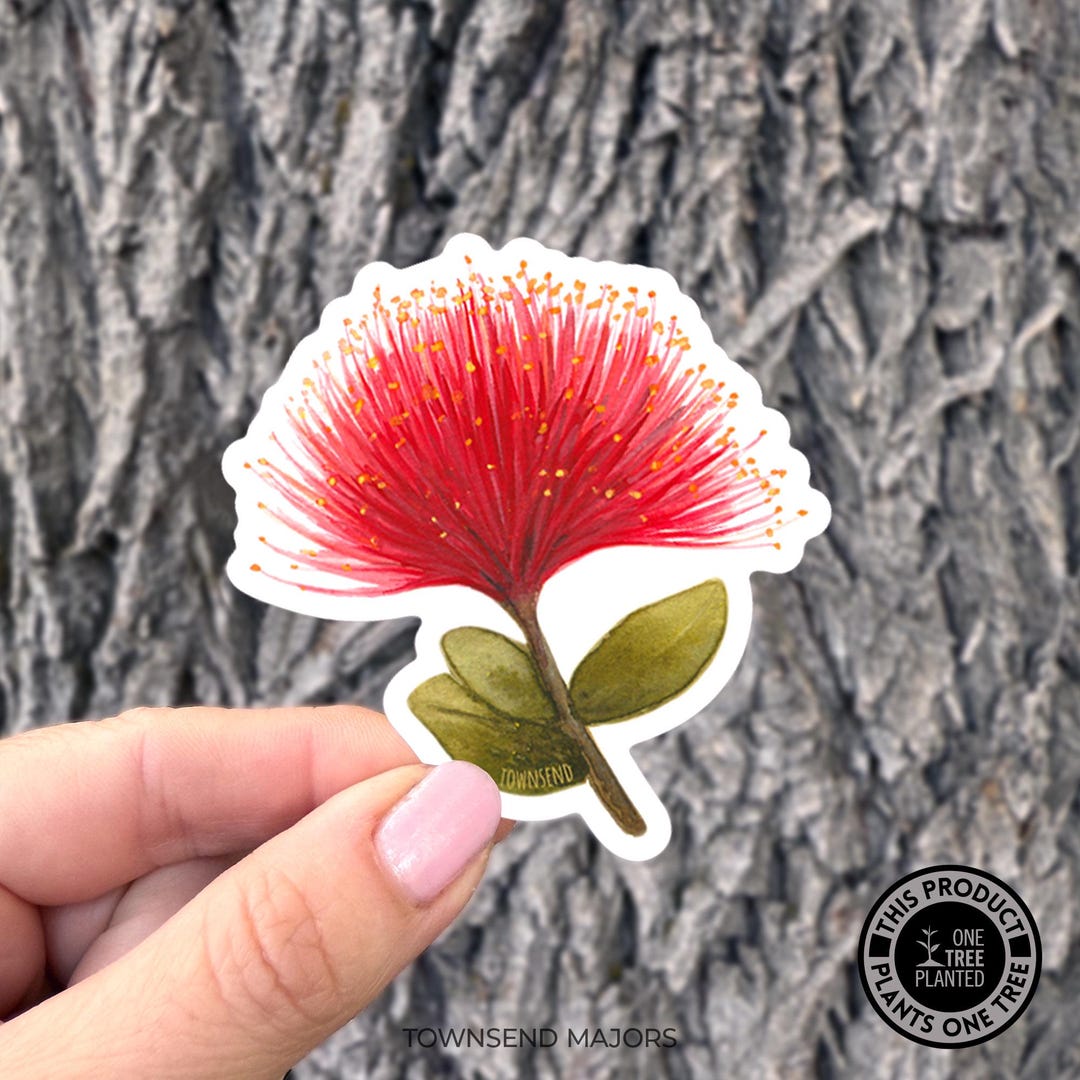 Ohia Lehua Flower Sticker - Etsy