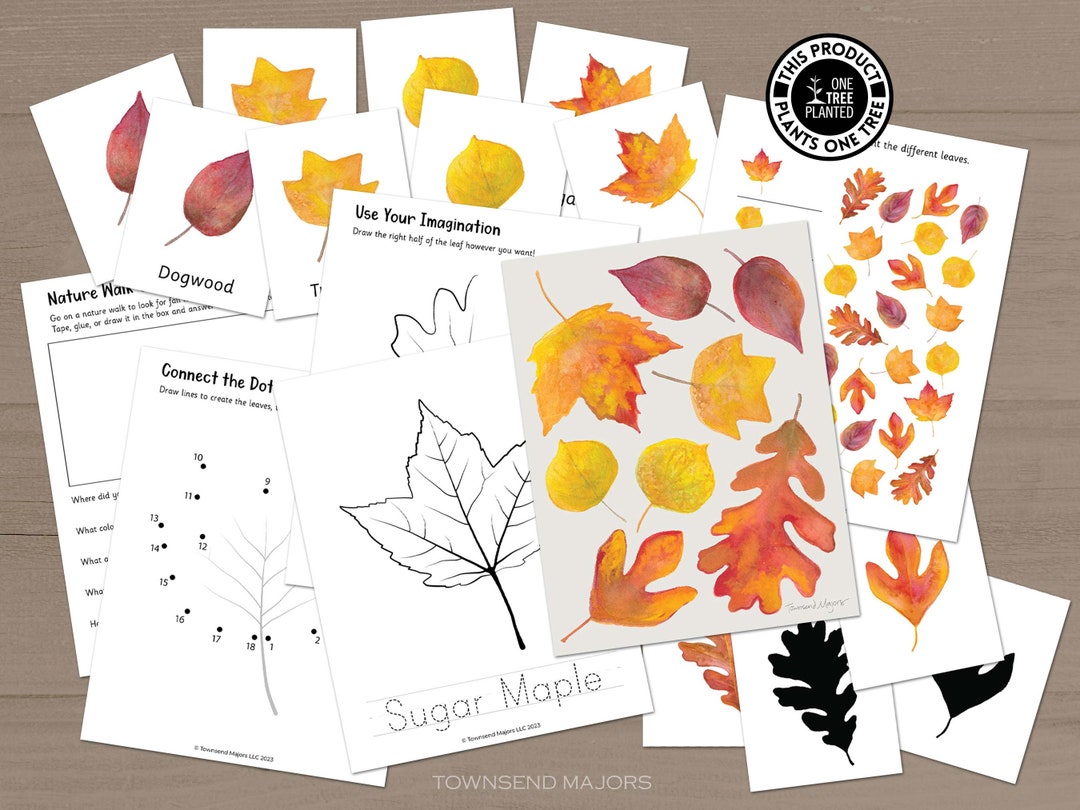 Fall Leaves Printable Art Activities - Etsy