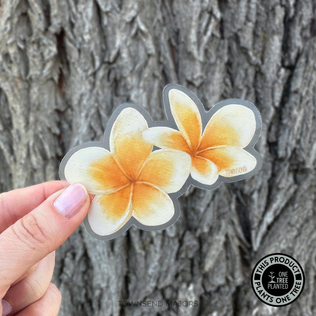 Double Plumeria Flower Sticker - Pretty Tropical Flower Stickers ...