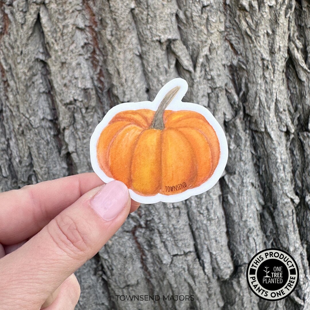 Jack Be Little Pumpkin Vinyl Sticker Perfect for Nature Lovers - Etsy