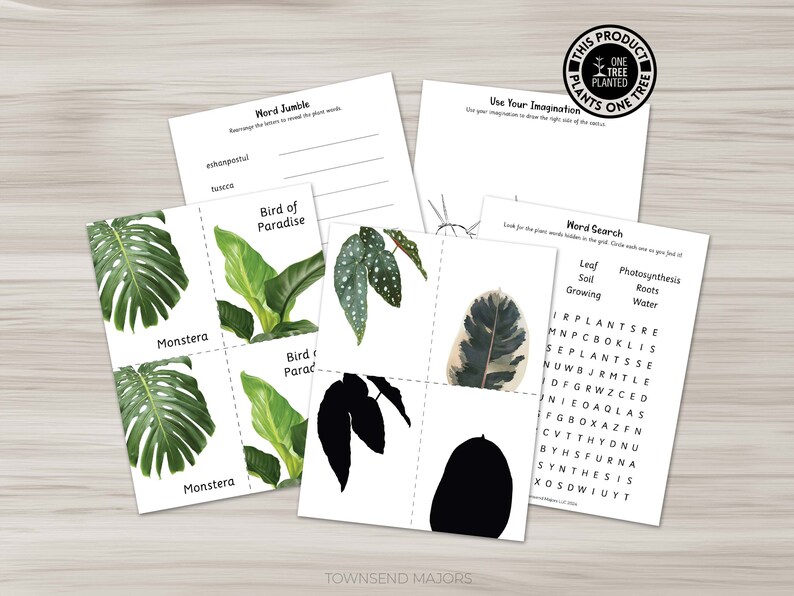 Coloring Pages & Activities for Seniors: Printable Houseplants - Etsy