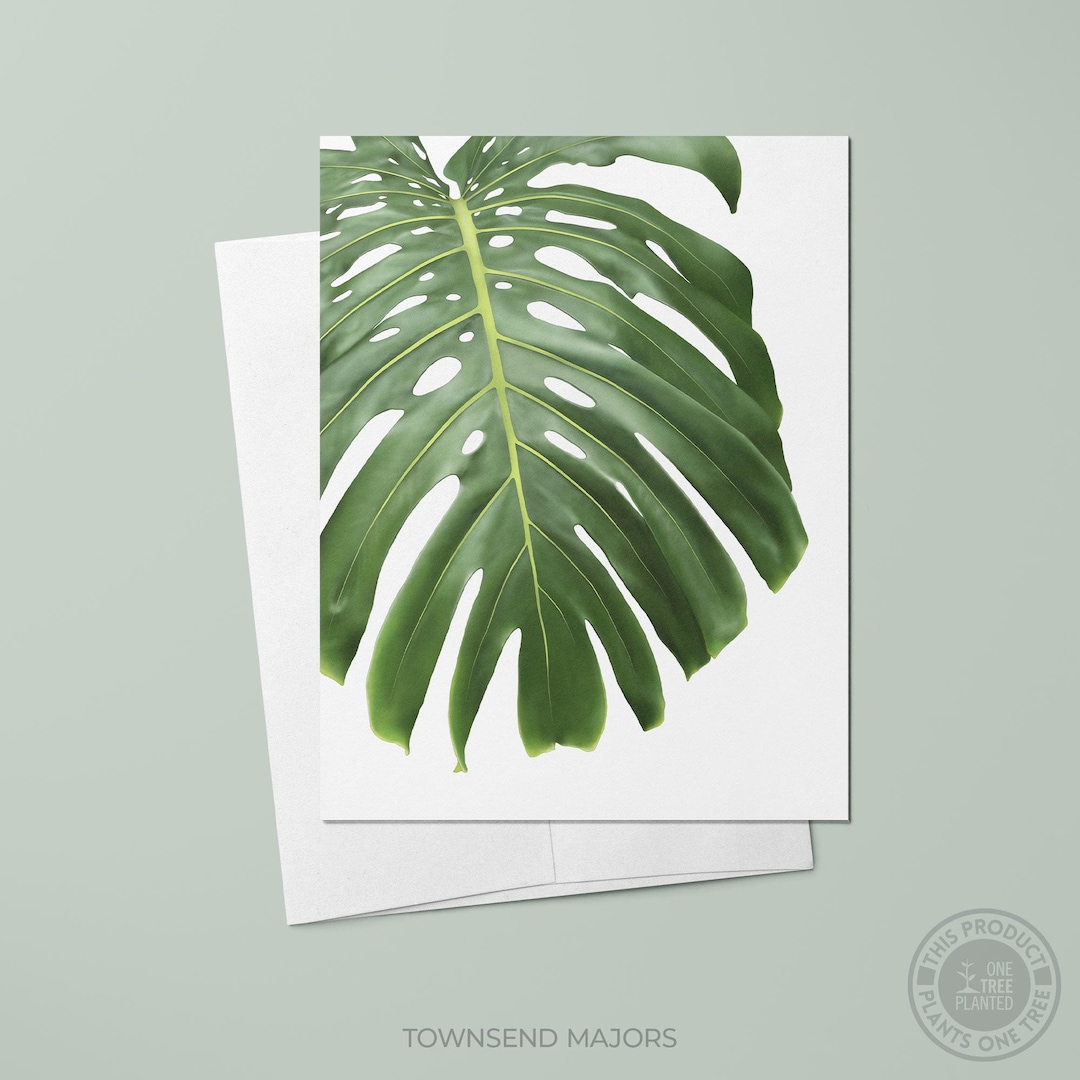 Monstera Plant A2 4.25 X 5.5 Inch Note Card - Etsy
