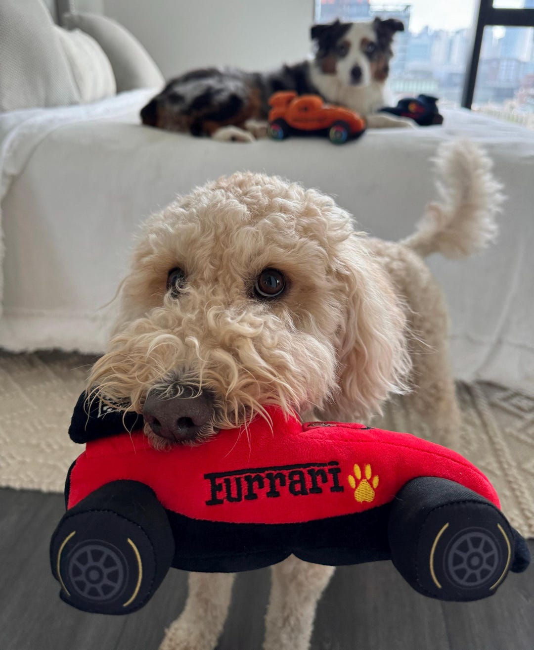 Formula 1 Inspired Plush Dog Toy Car: Ferrari Themed Parody Squeaky Toy ...