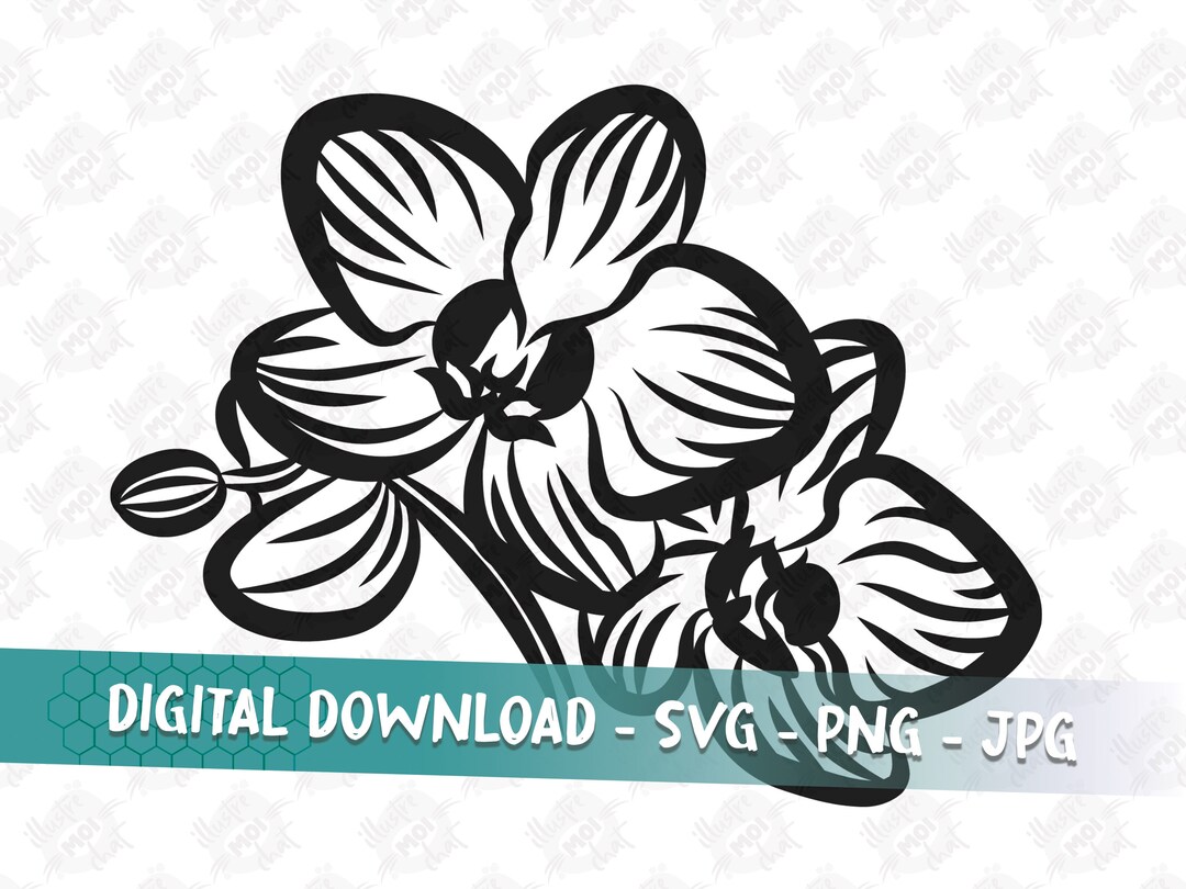 Digital Instant Download, Cutting File, SVG, JPG, PNG, Clipart, Cricut ...