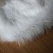 Long Pile Fur Fabric, Faux Fur Fabric, Cosplay Fur Fabric, Fursuit ...
