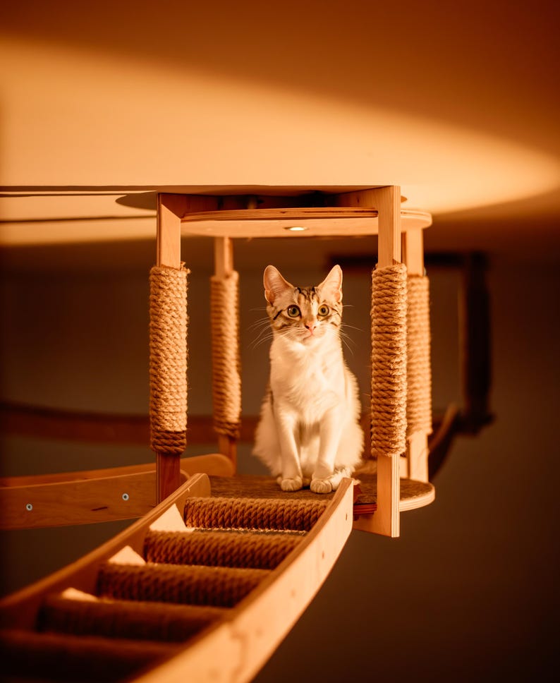 Set of 4 Hanging Cat Houses & Ceiling Bridges – Modular Cat Play Zone ...