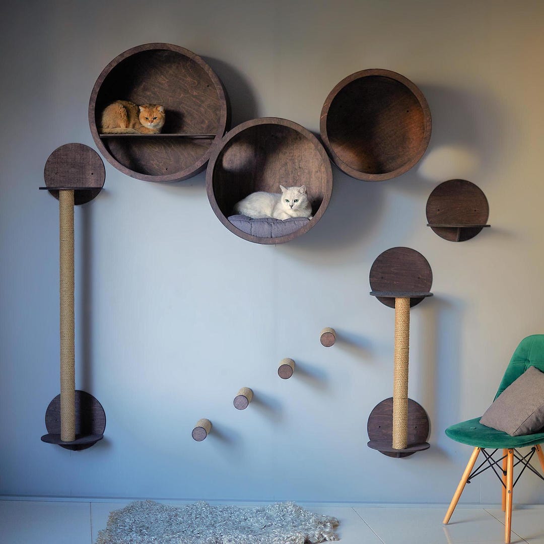 SET of 10 ITEMS for CATS - Etsy