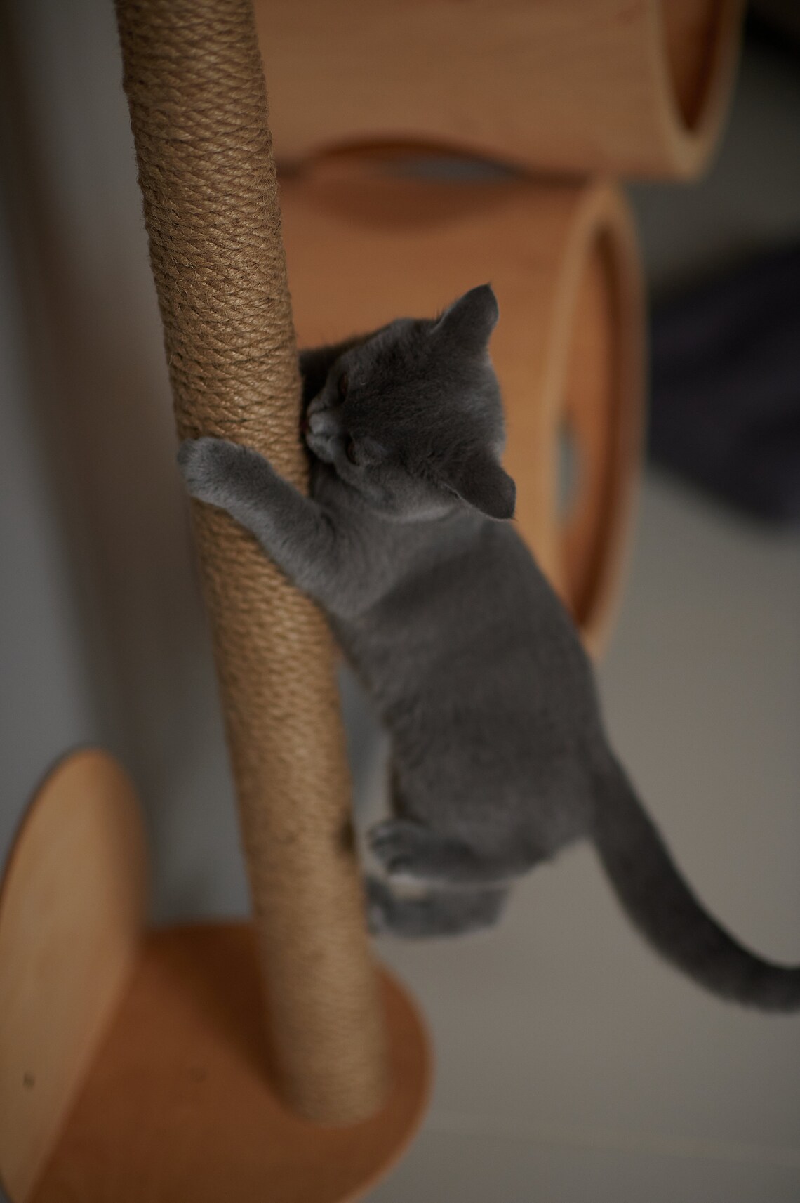 CATS SCRATCHER Modern Cat Furniture Gift for Cat Lover Cat - Etsy