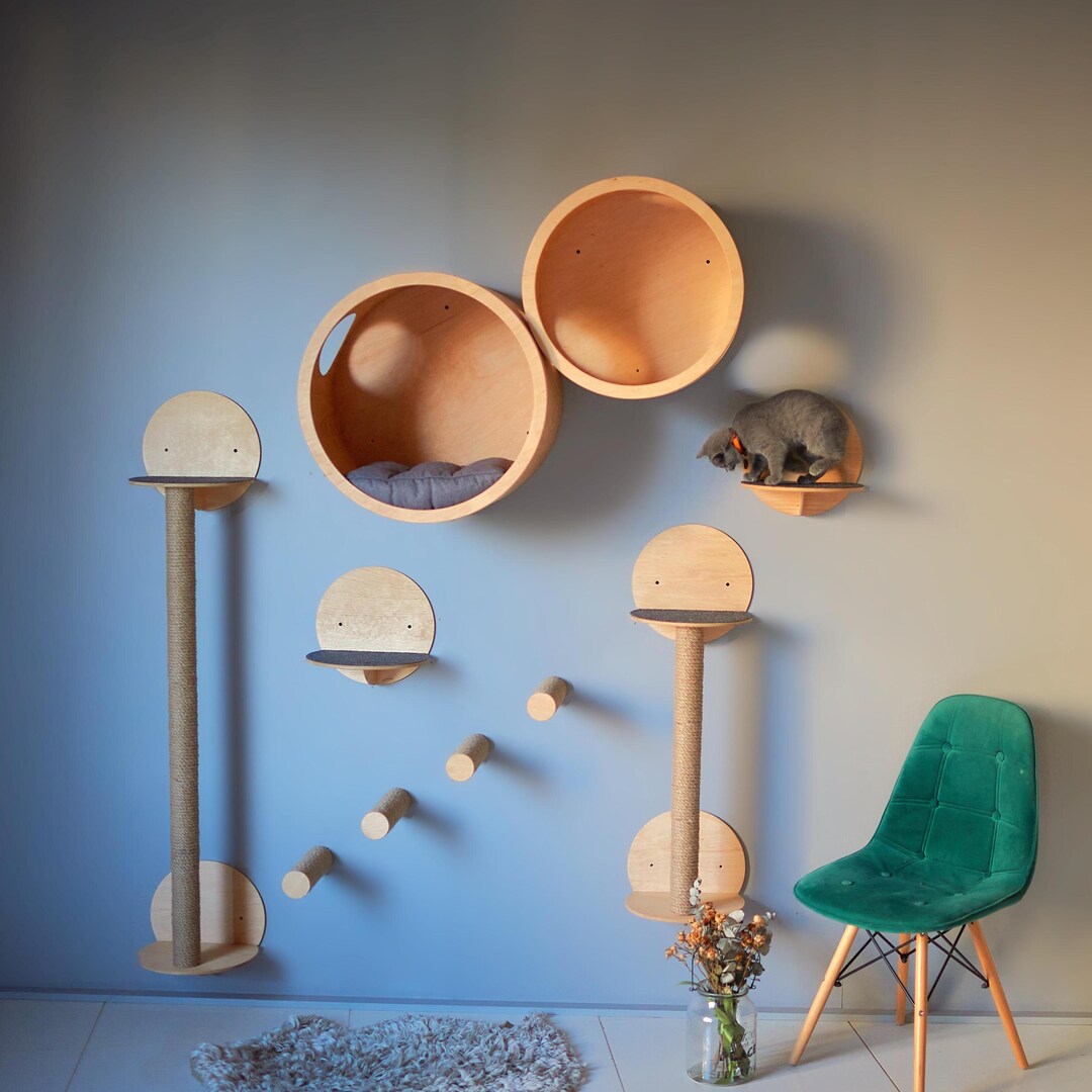 SET of 10 ITEMS for CATS - Etsy