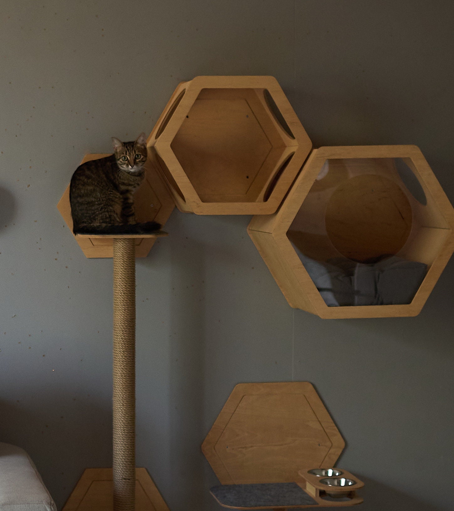 Hexagon Cat Wall Set, Birch Ply, Cat Shelves, Feeder, Perch - Etsy