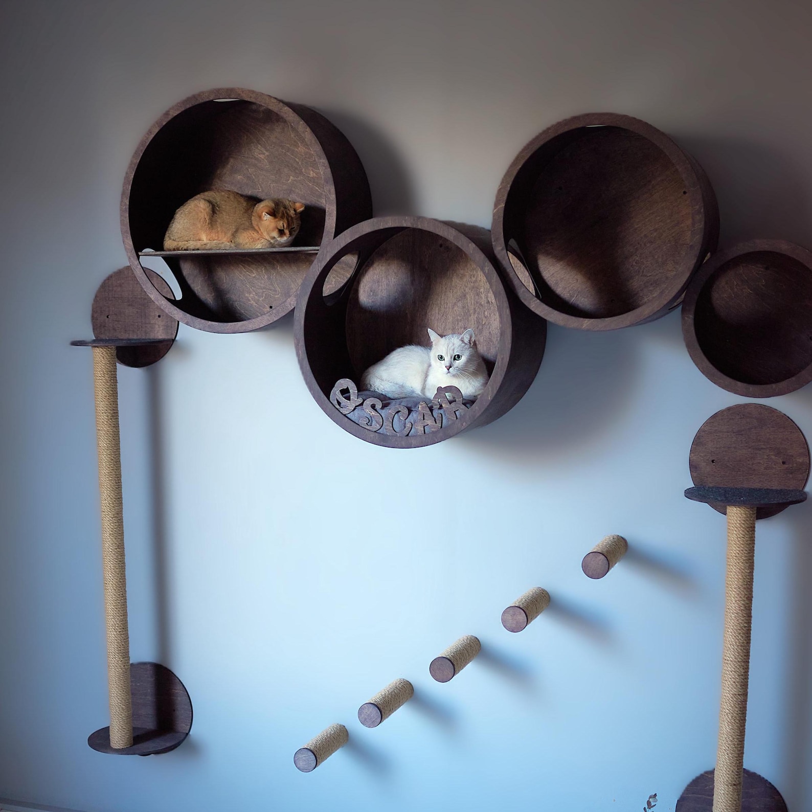 SET of 11 ITEMS for CATS - Etsy