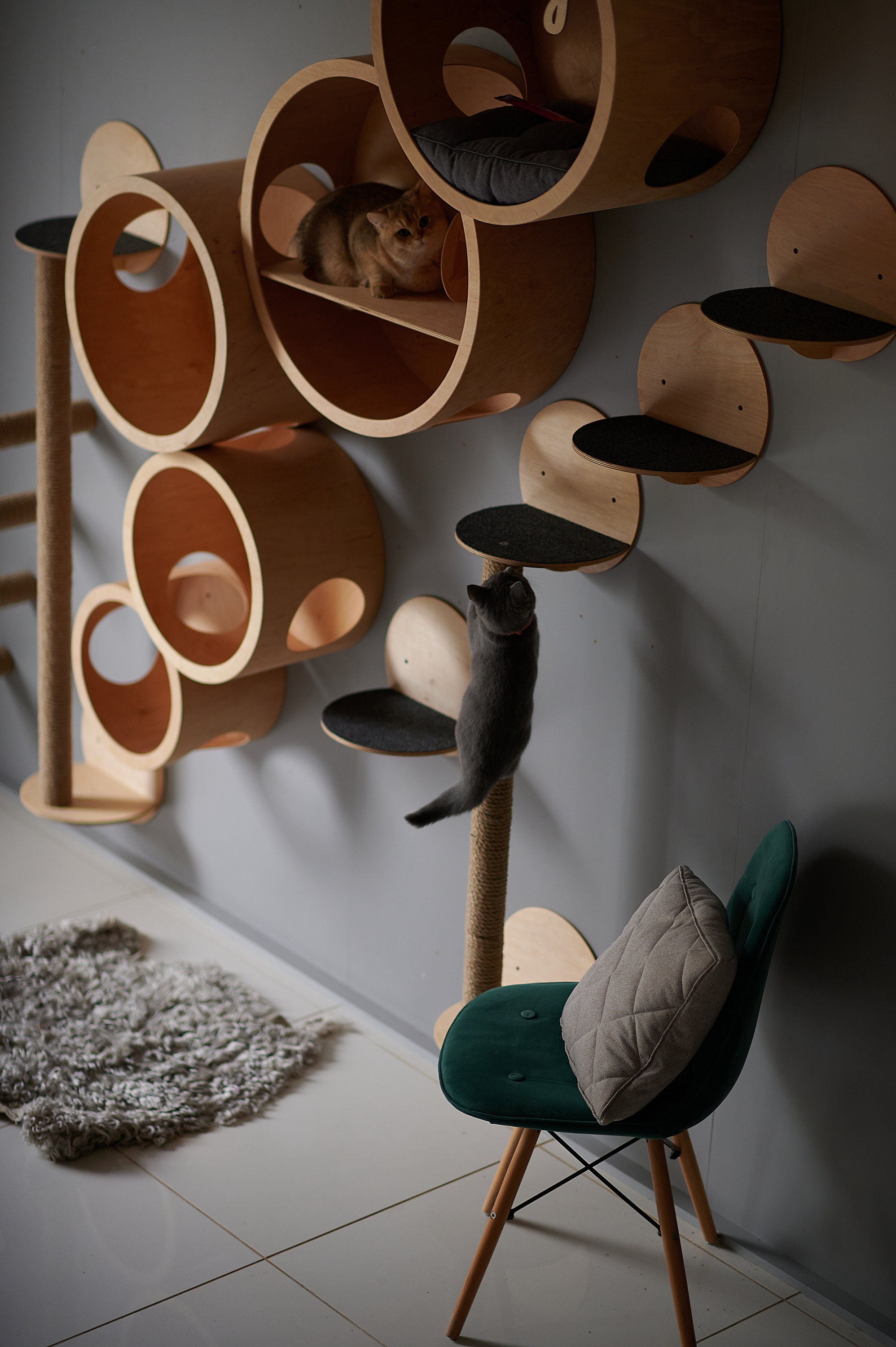 CATS SCRATCHER Modern Cat Furniture Gift for Cat Lover Cat - Etsy