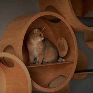 SET of 11 ITEMS for CATS - Etsy