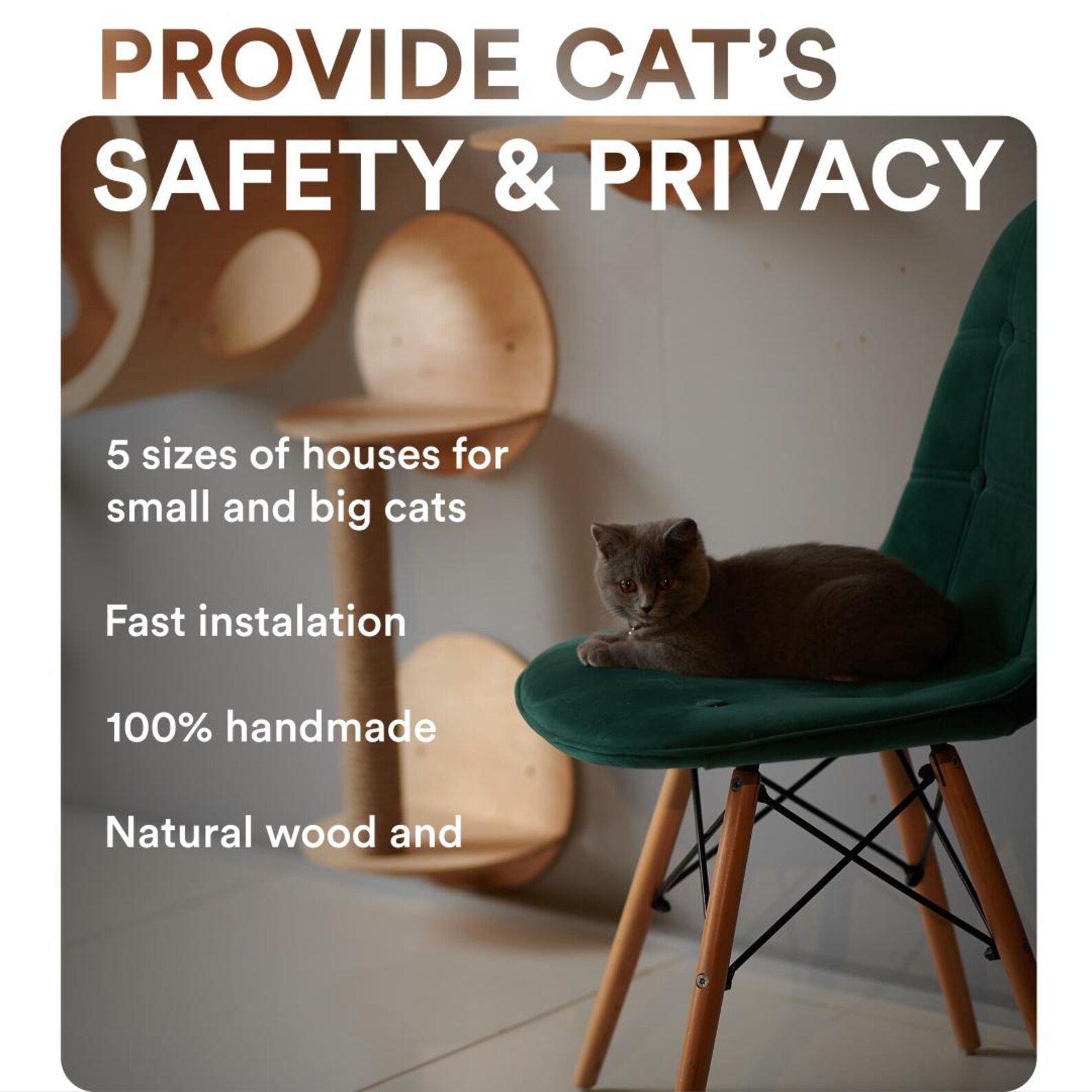 SET of 11 ITEMS for CATS - Etsy