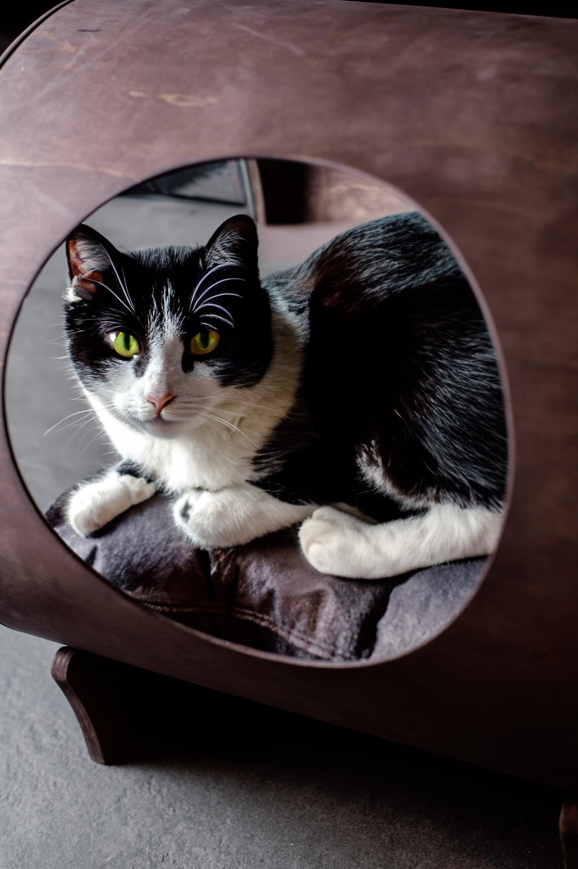 Modern Wooden Cat House With Acrylic Panoramic Spheres – A Stylish ...