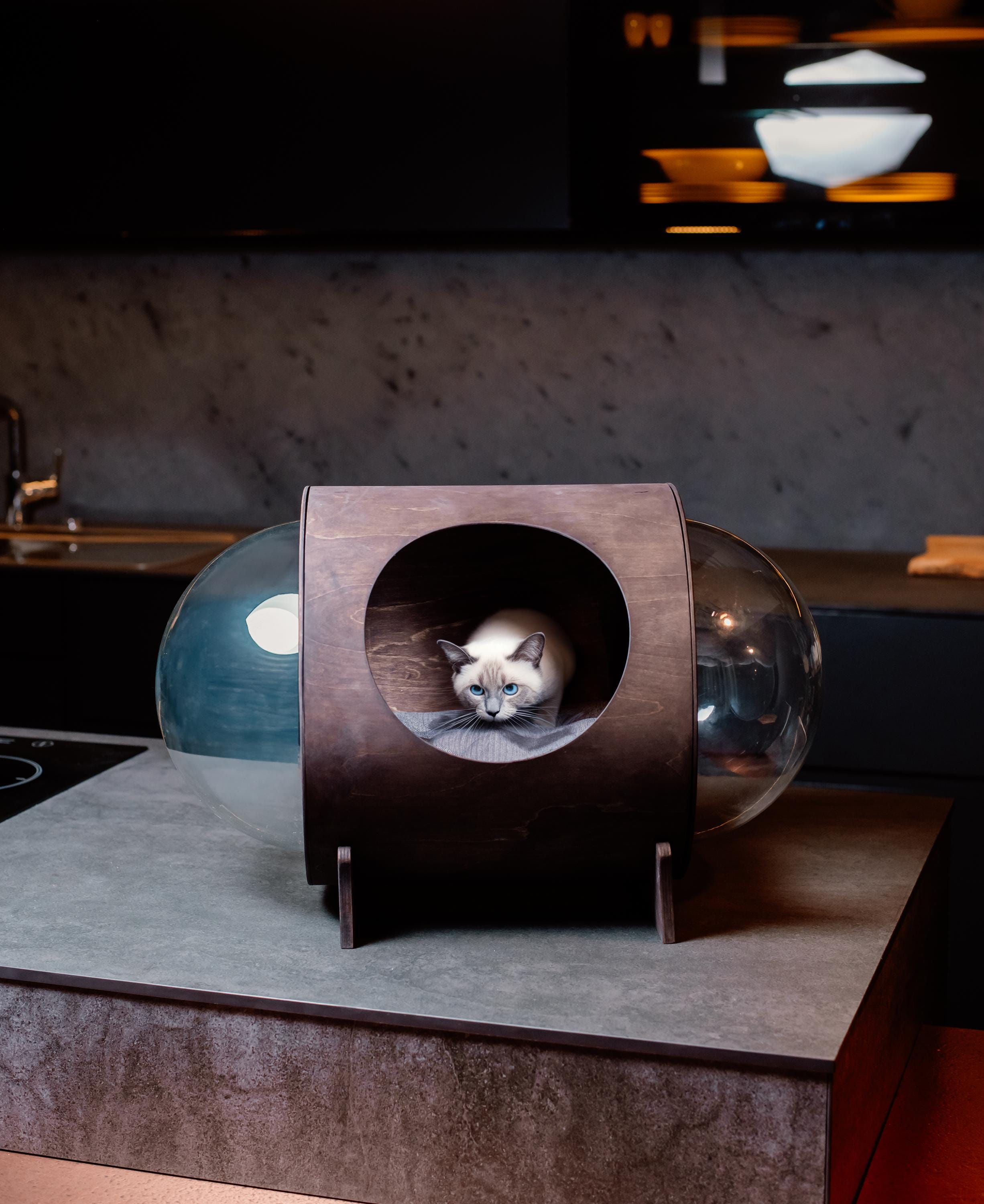 Modern Wooden Cat House With Acrylic Panoramic Spheres – A Stylish ...