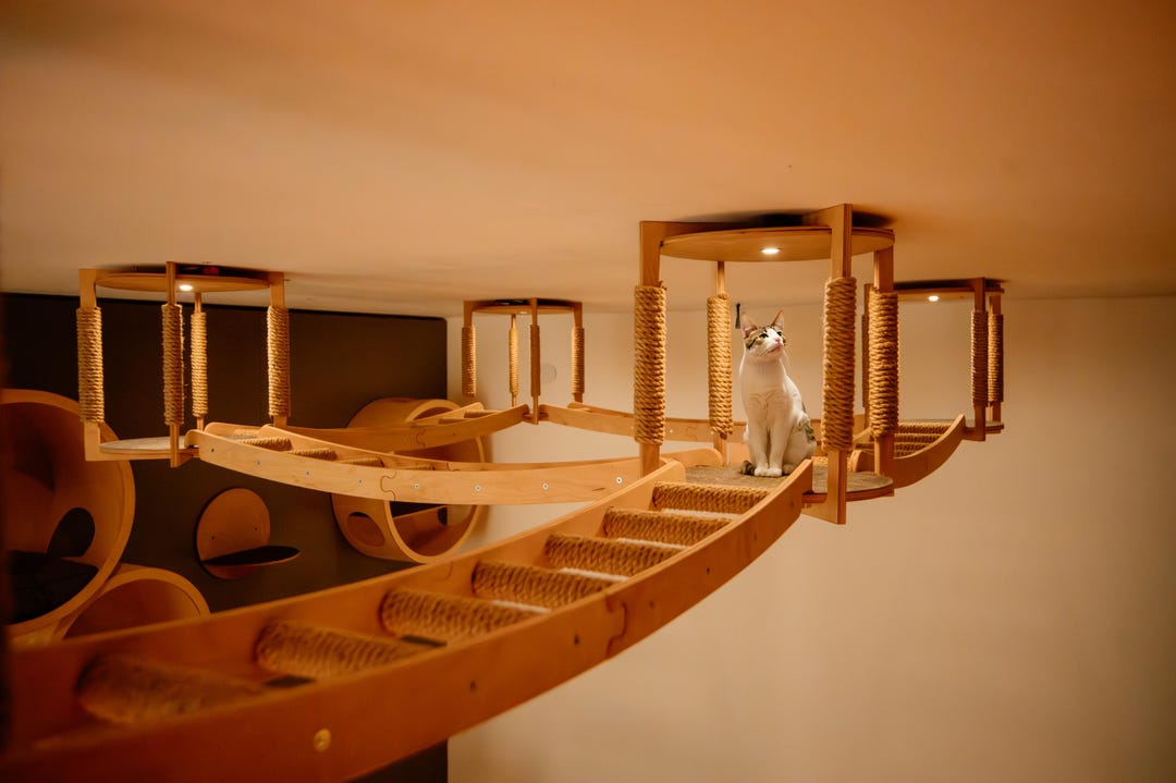 Wood Cat House Ceiling Playground, Bridge Climber Set - Etsy UK