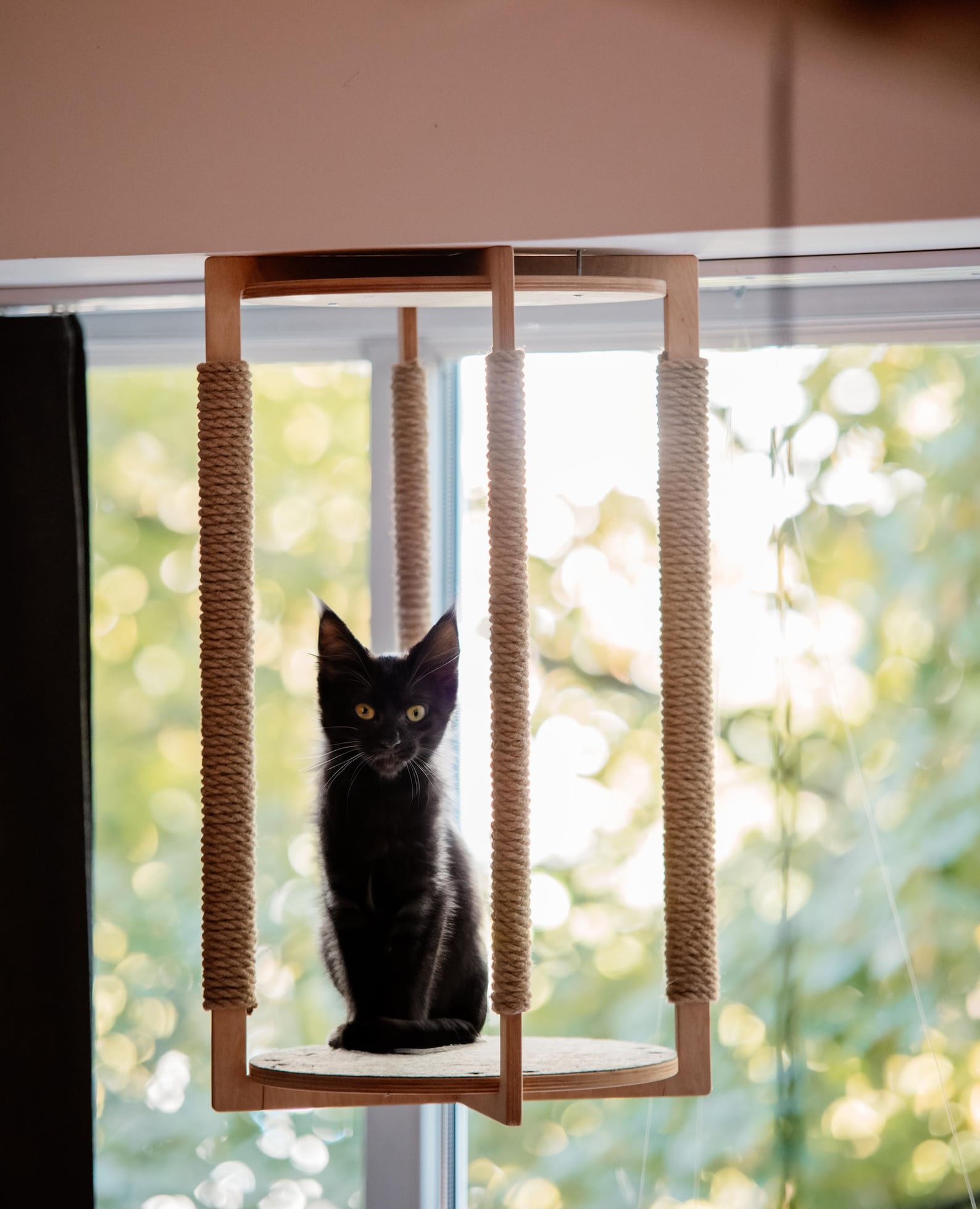 Set of 4 Hanging Cat Houses & Ceiling Bridges – Modular Cat Play Zone ...