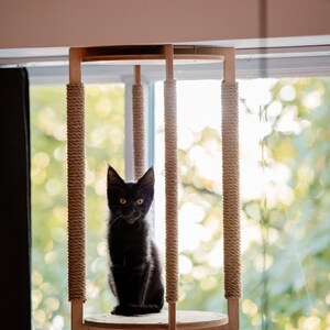 Set of 4 Hanging Cat Houses & Ceiling Bridges – Modular Cat Play Zone ...