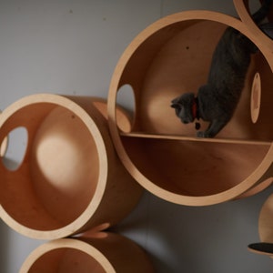 SET of 10 ITEMS for CATS - Etsy