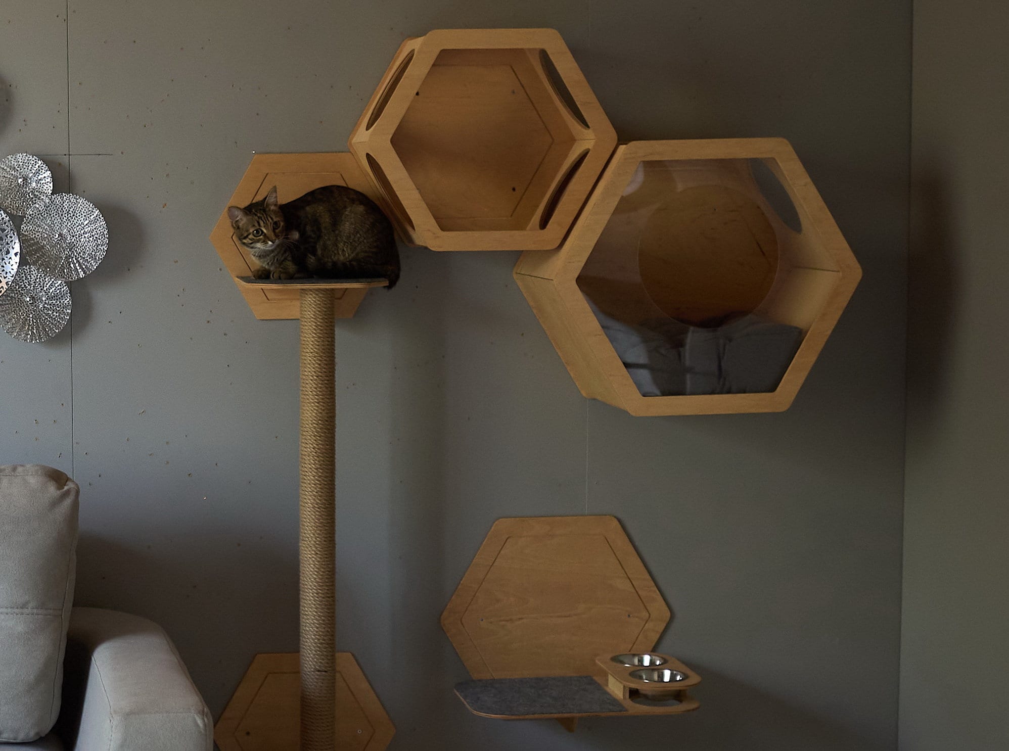 Hexagon Cat Wall Set, Birch Ply, Cat Shelves, Feeder, Perch - Etsy