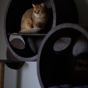 SET HUIZEN voor KATTEN, Modern Cat Furniture, Cadeau voor Cat Lover ...