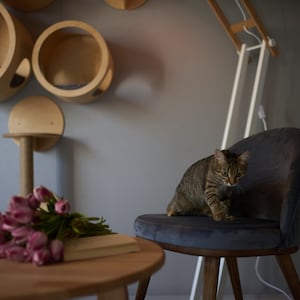 SET of 12 ITEMS for CATS - Etsy