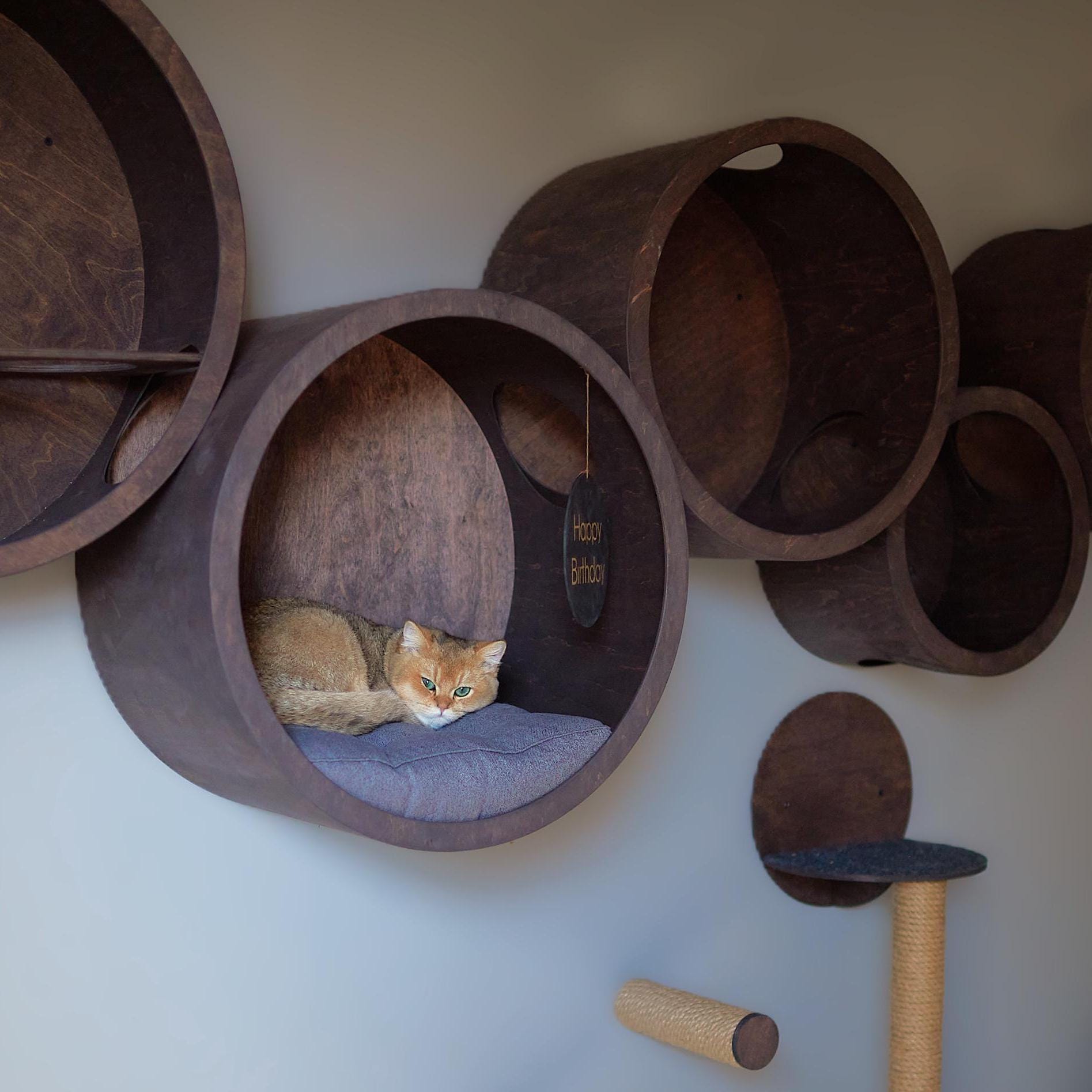 SET of 11 ITEMS for CATS - Etsy