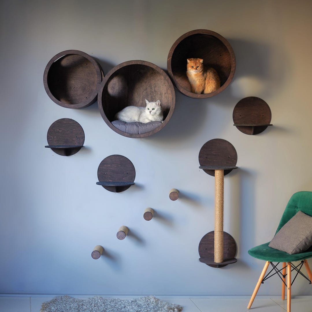 SET of 11 ITEMS for CATS - Etsy