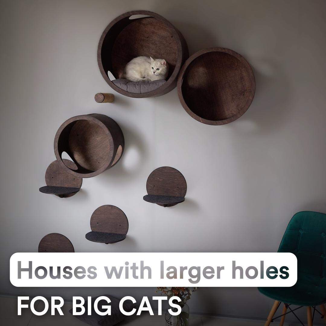 SET of 8 ITEMS for CATS - Etsy