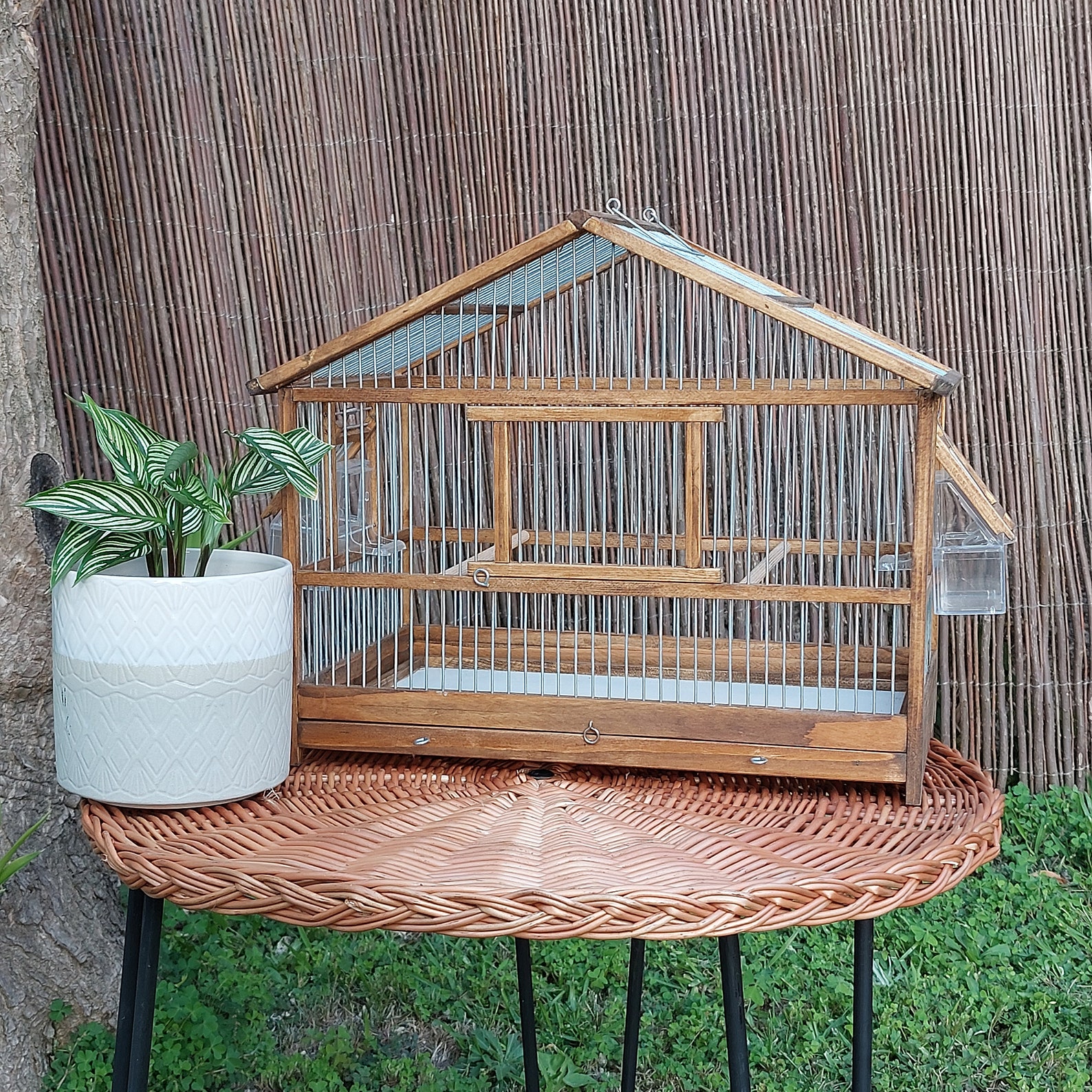 Rustic Bird Cage Full Handmade / Canary Cage / Bird House / - Etsy