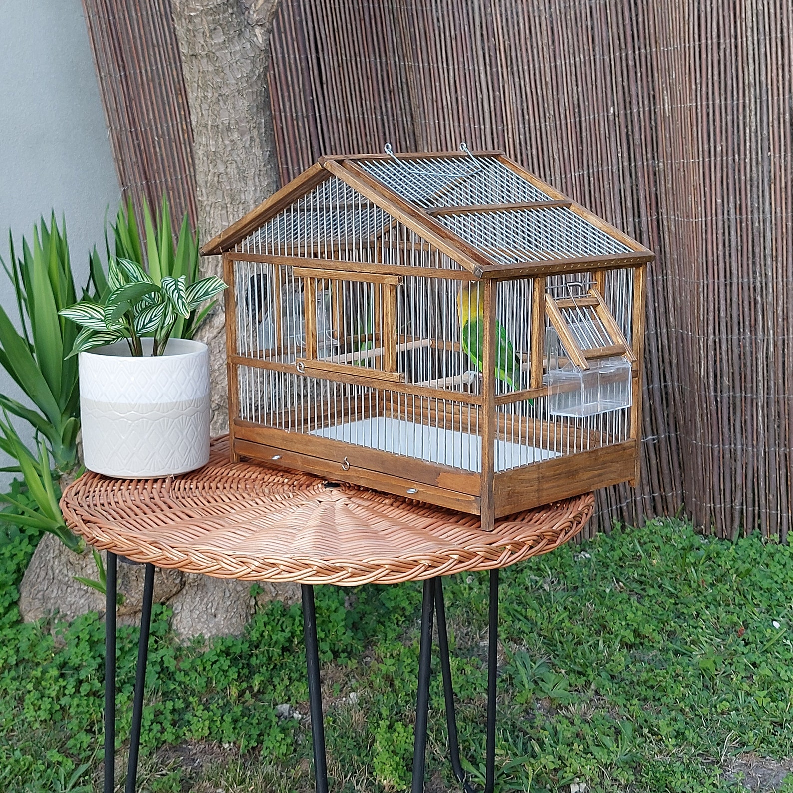 Rustic Bird Cage Full Handmade / Canary Cage / Bird House / - Etsy