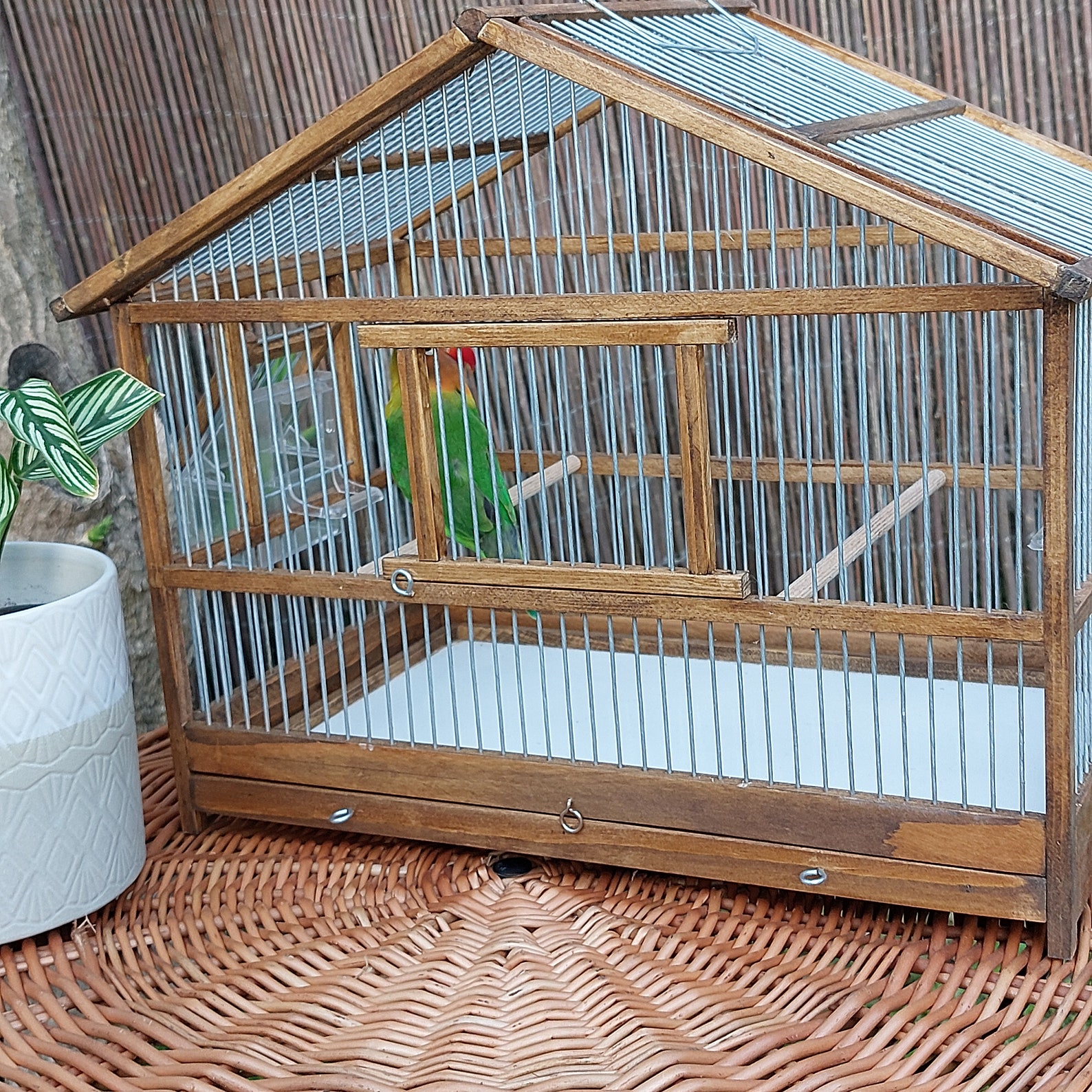 Rustic Bird Cage Full Handmade / Canary Cage / Bird House / - Etsy