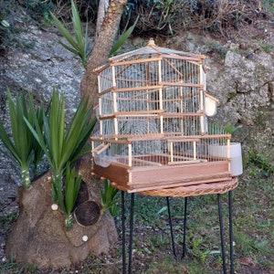 Natural Vintage Bird Cage / Handmade Bird Cage / Rustic Cage / Canary ...