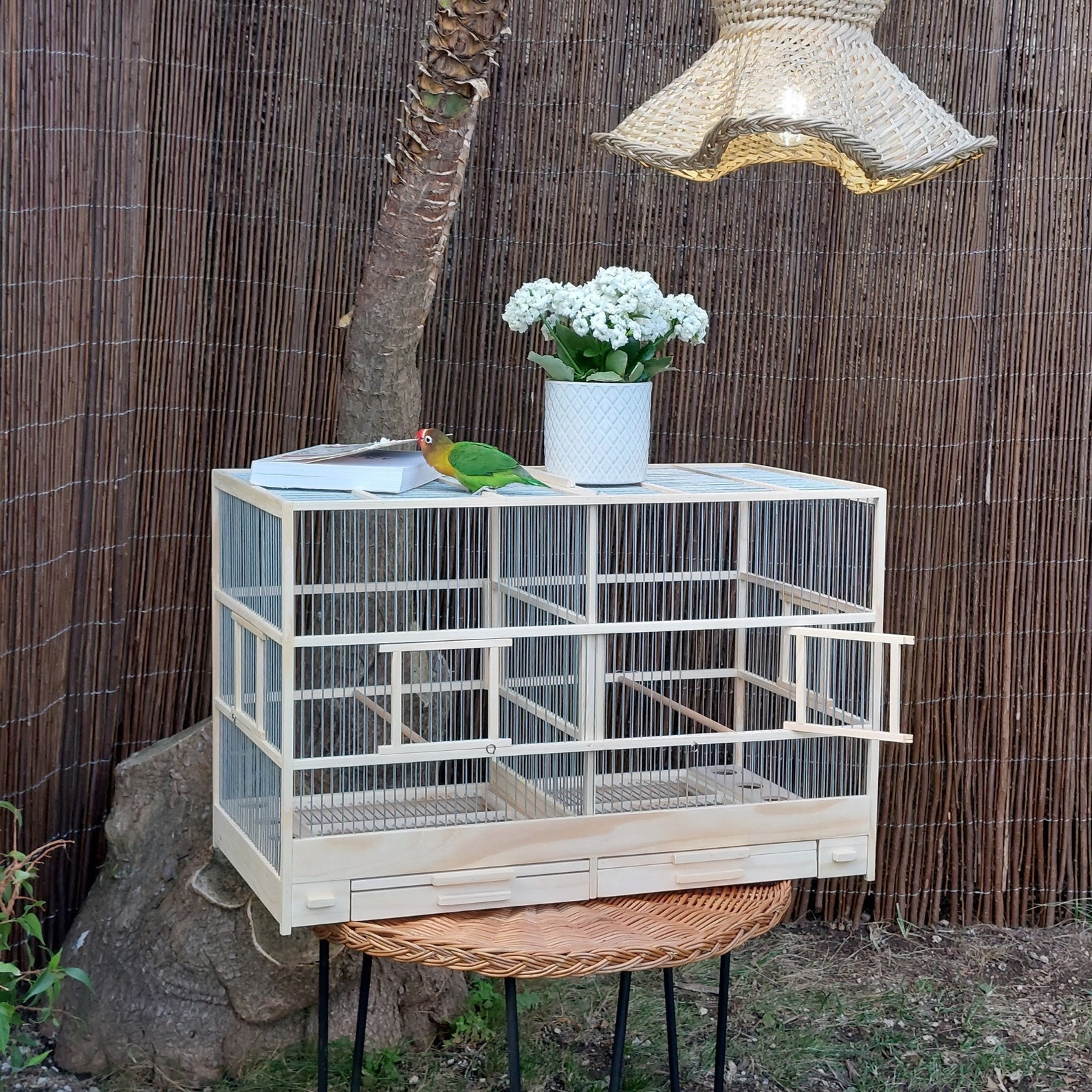 Large Rectangular Bird Cage Full Handmade / Wood Bird Cage / Decorative ...
