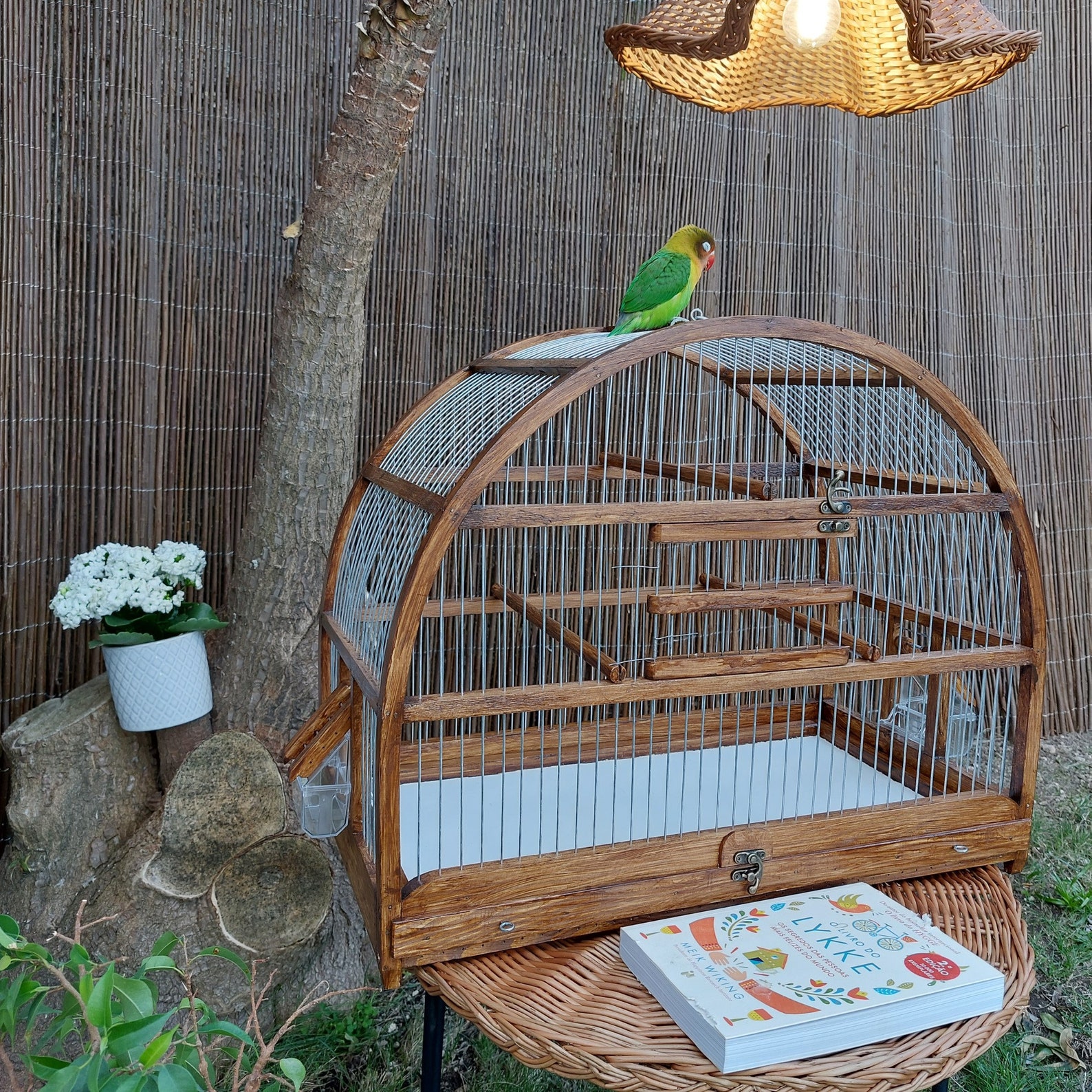 Large Oval Bird Cage Full Handmade / Brown Rustic Cage / - Etsy