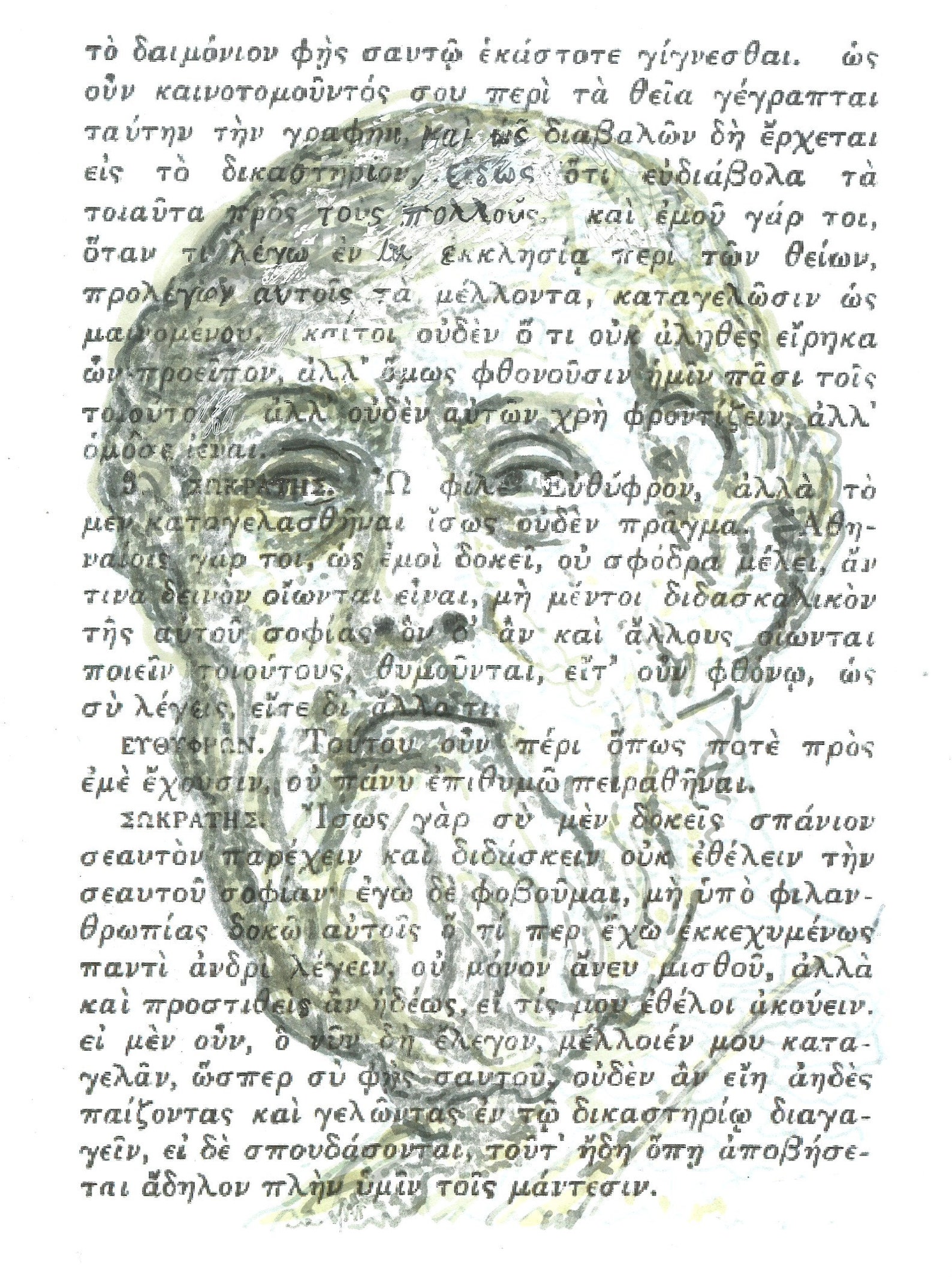 Platone, ritratto del filosofo greco, autore della Repubblica, delle ...