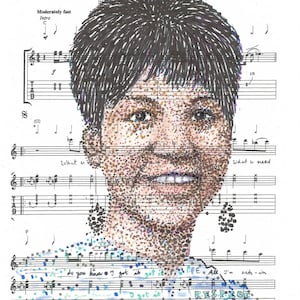 Aretha Franklin, an Illustrated Portrait of the Queen of Soul, Famous ...