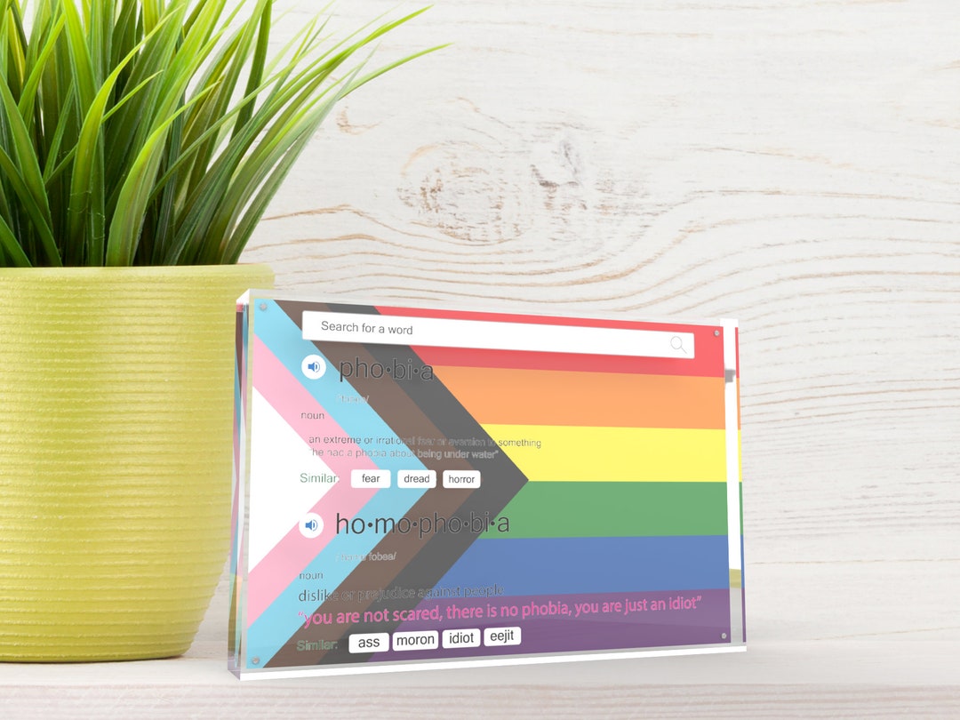 LGBTQ Rainbow Decor, Funny Pride Decor, Inclusion Tabletop Decor ...