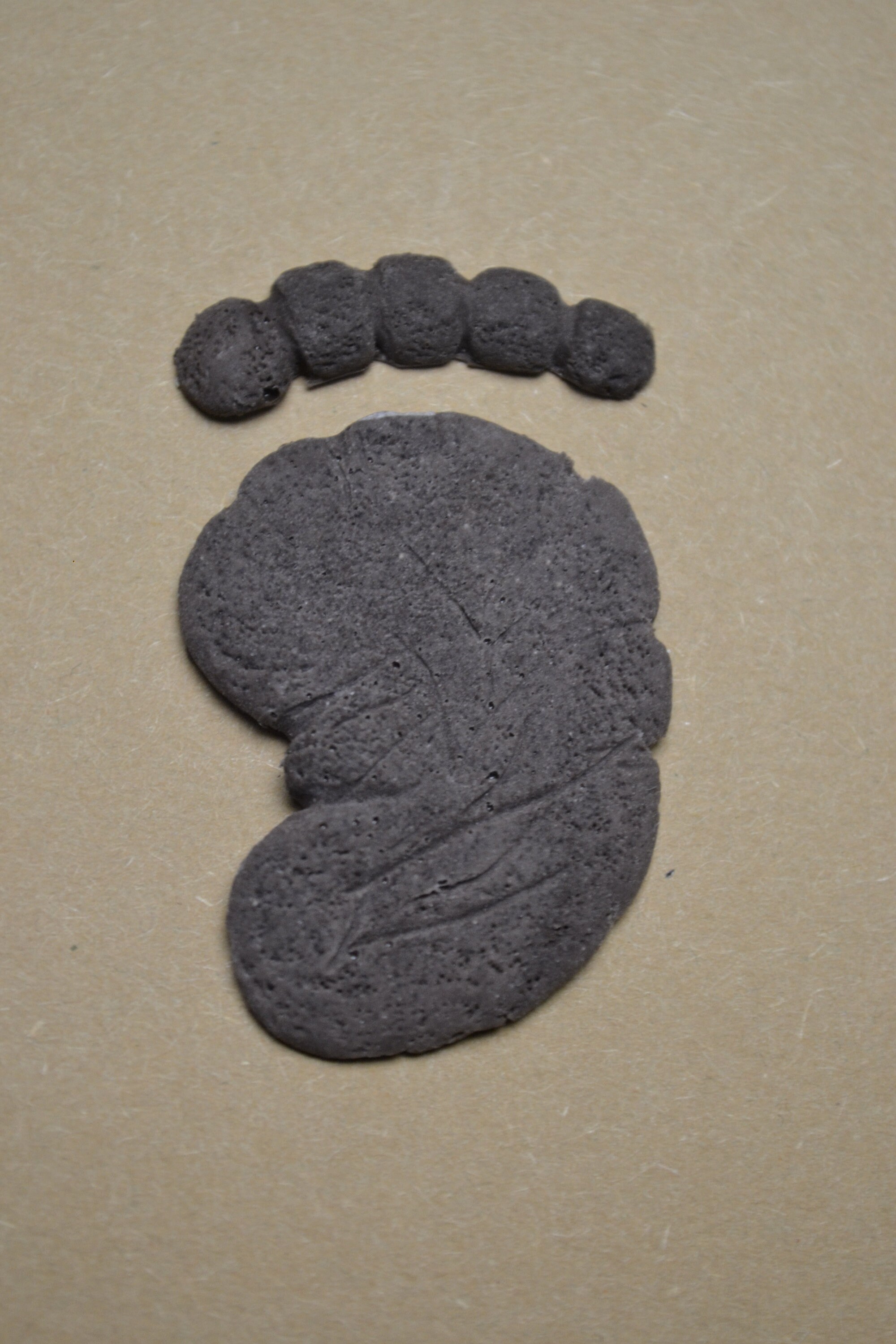 Sculpted Teddy Bear Paws for Soft Realistic Animals - Etsy