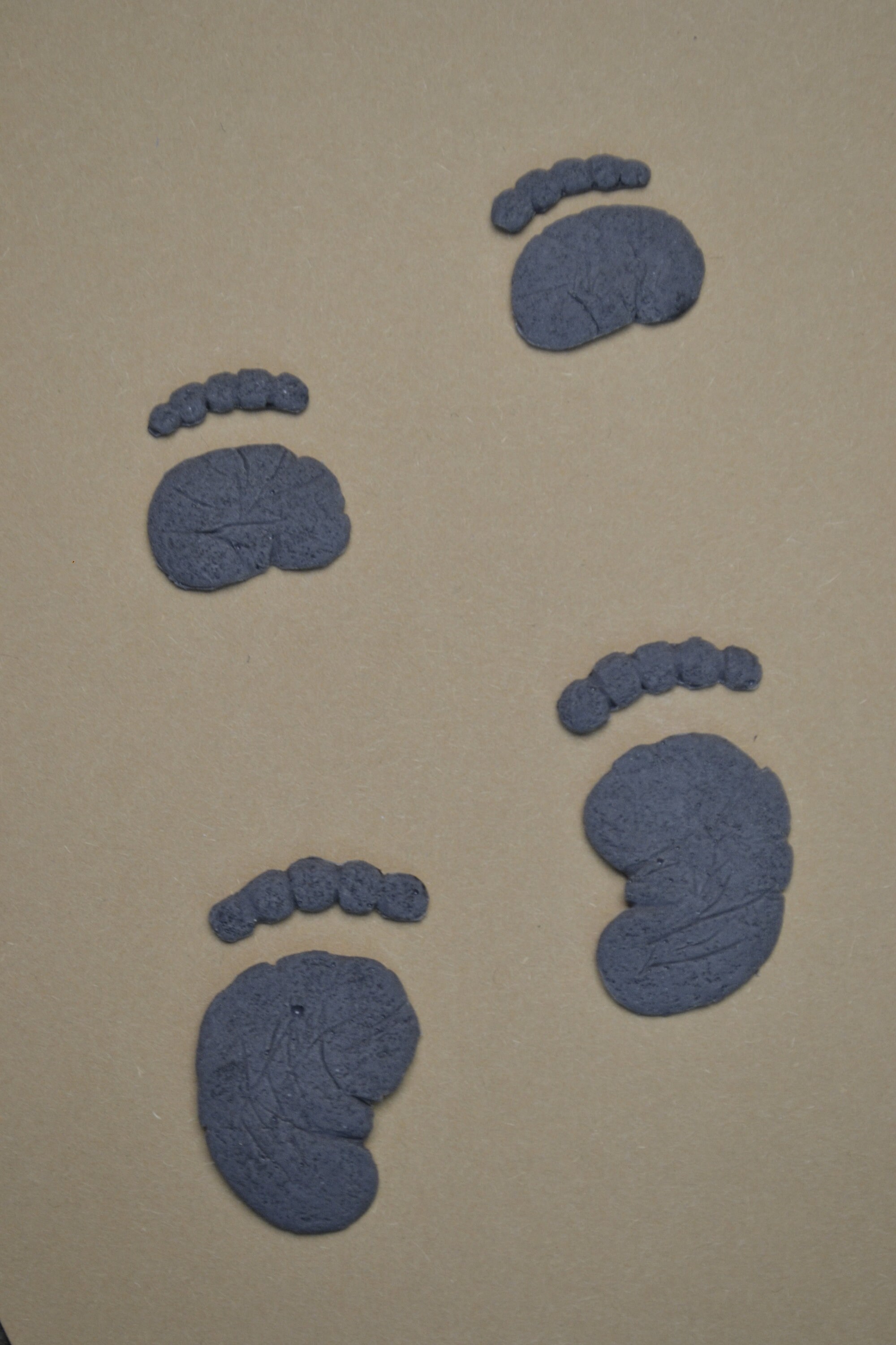 Sculpted Teddy Bear Paws for Soft Realistic Animals - Etsy